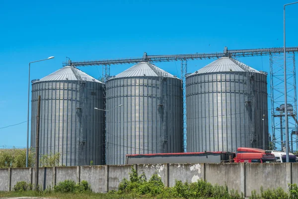 Georgia wheat grain Stock Photos, Royalty Free Georgia wheat grain ...