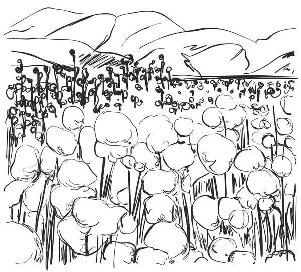 Cotton field Vector Art Stock Images | Depositphotos