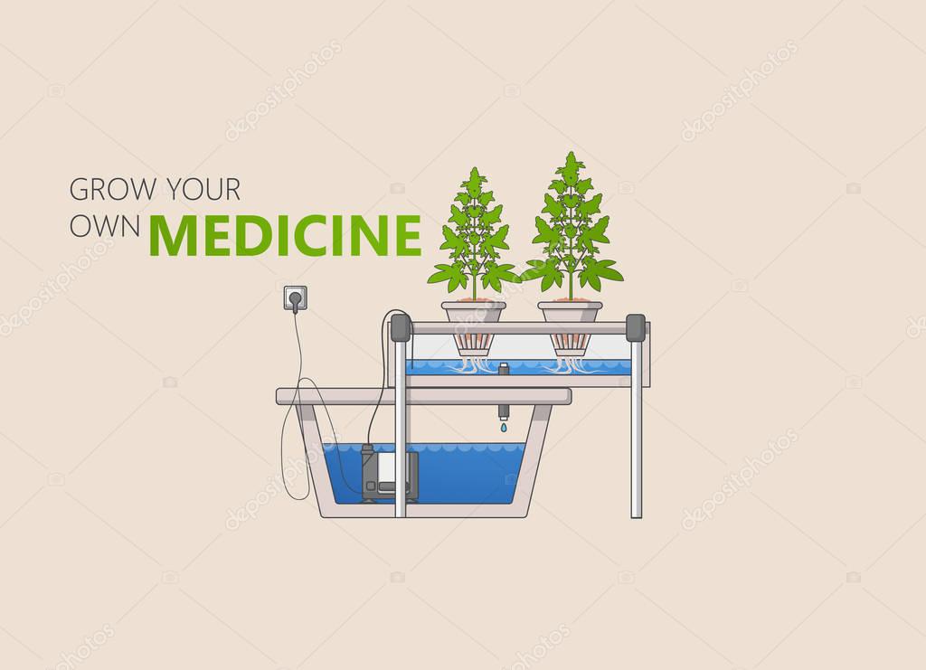 sistema hidrop nico y plantas en crecimiento 2024