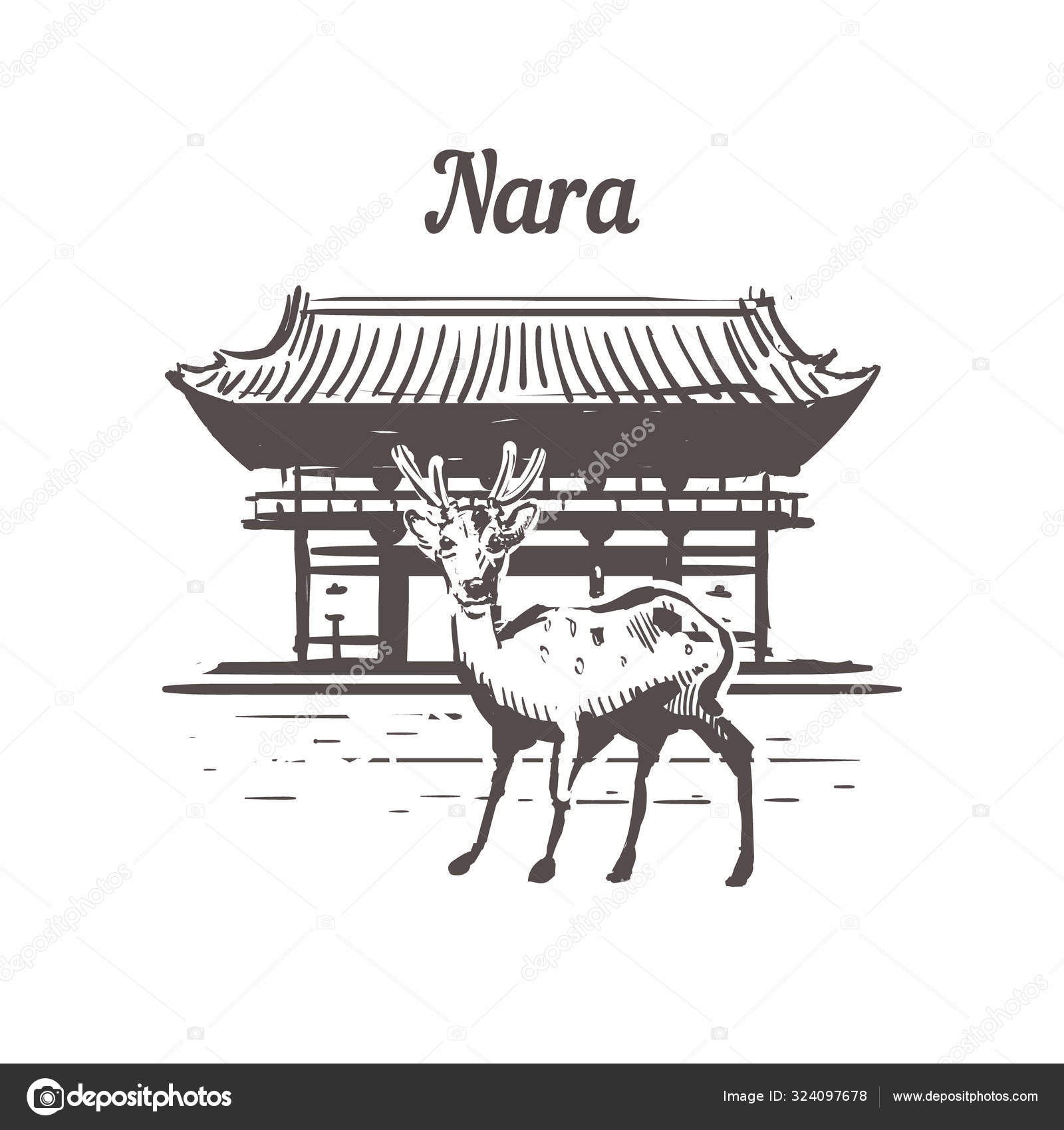 Nara skyline sketch. Nara hand drawn illustration isolated on Stock ...