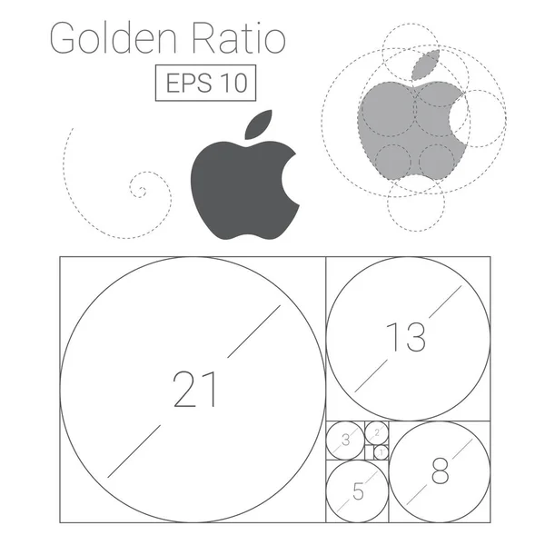 Golden ratio template logo vector illustration — Stock Vector © y6uca ...