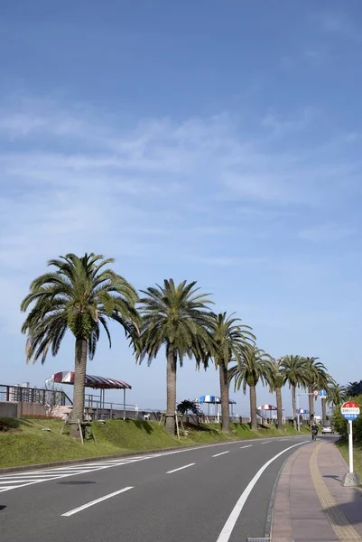 Royan Stock Photos, Royalty Free Royan Images | Depositphotos