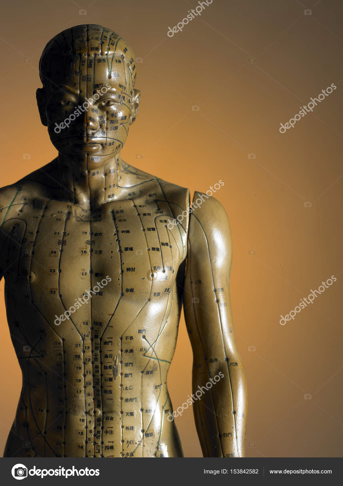 Acupuncture points male body model Stock Photo by ©topphoto 153842582