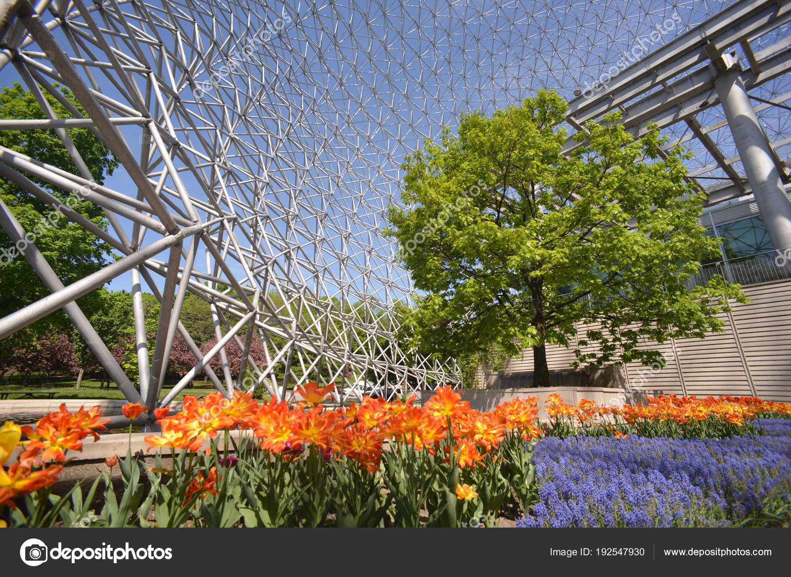 Photo Beautiful Environment Museum Biosphere Stock Photo by ©topphoto ...