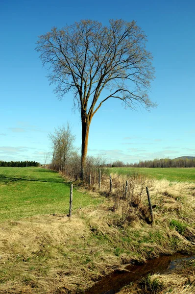 Canada spring landscape Stock Photos, Royalty Free Canada spring ...
