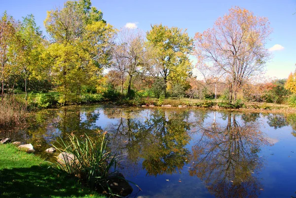 Vistas del río Bure entre Coltishall y el final de la navegación, The ...