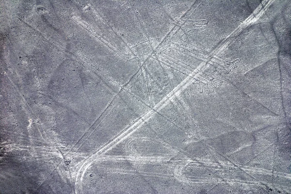 The nazca lines Stock Photos, Royalty Free The nazca lines Images ...