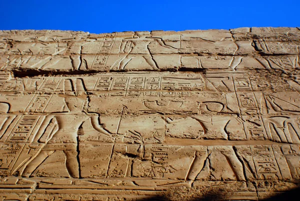 Egyptian citizenship Stock Photos, Royalty Free Egyptian citizenship ...