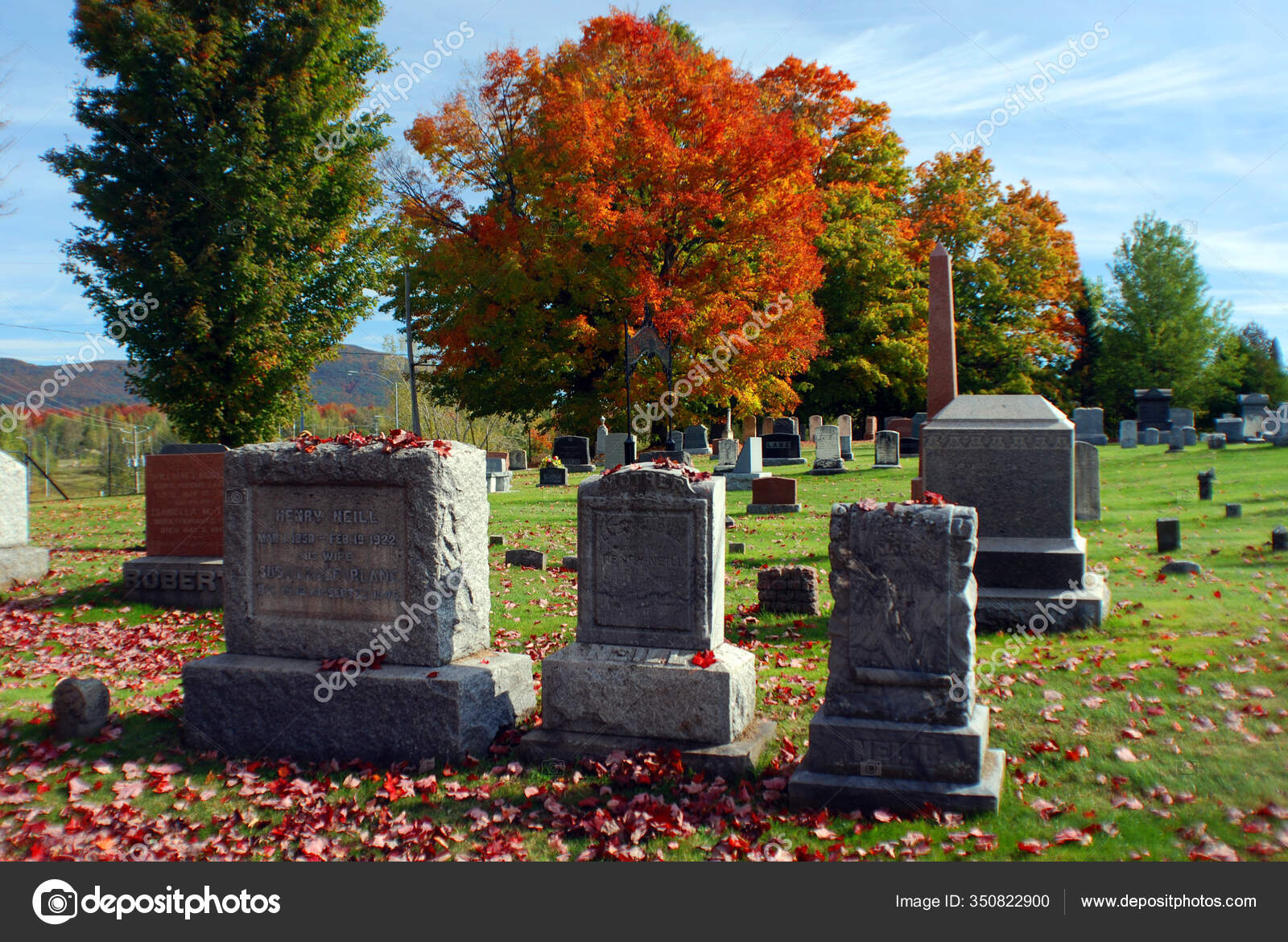 Fall Season Flora Autumn Cemetery — Stock Photo © meunierd #350822900