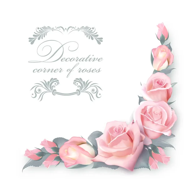 Pink Rose Corner Border