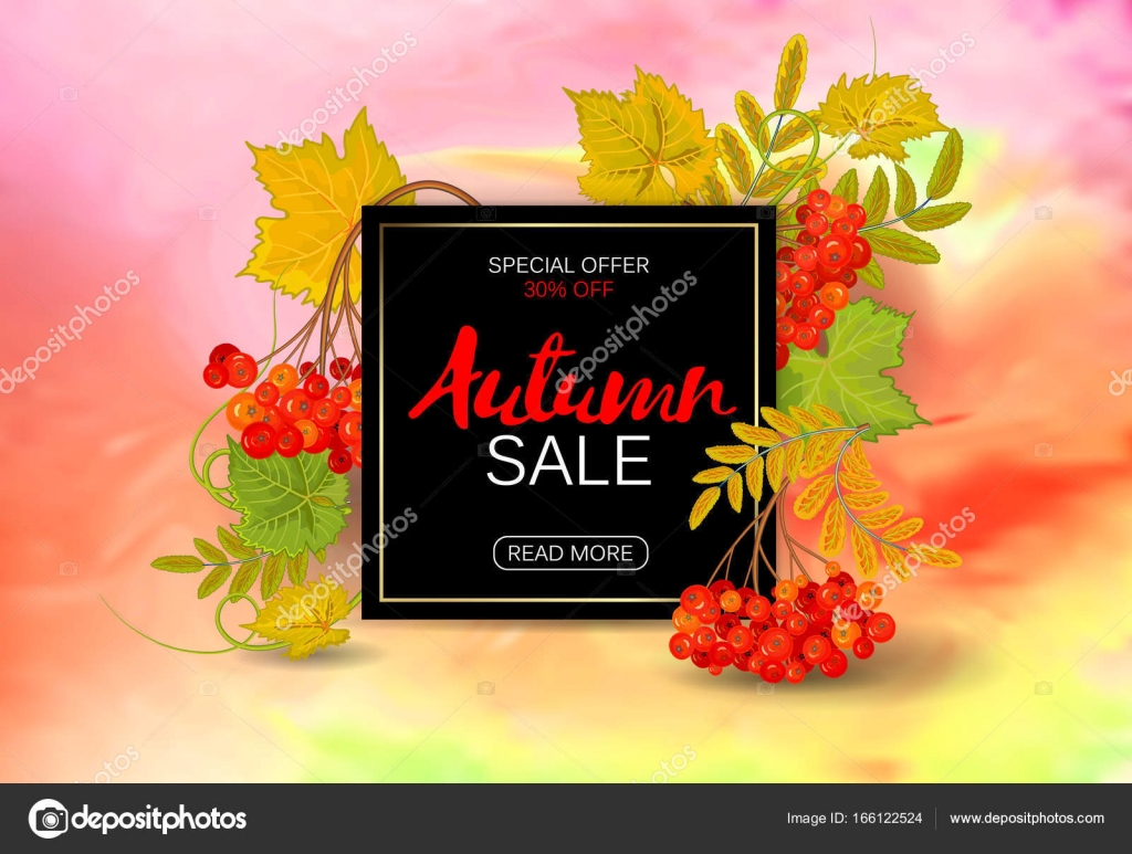 Autumn rowan banner on a bright background. Perfect for autumn sale ...