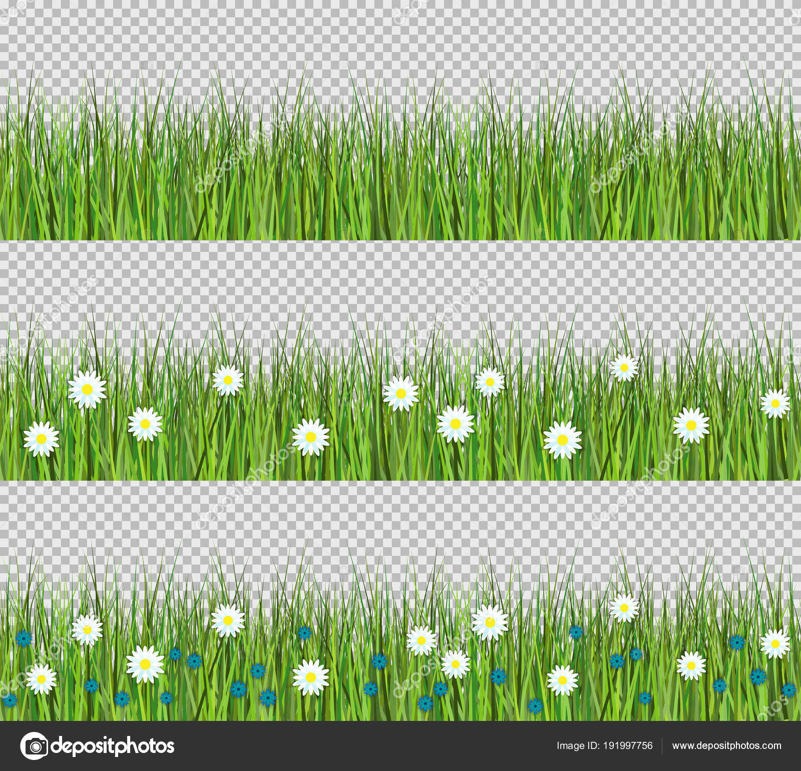 Rumput hijau dan bunga perbatasan. Set gambar vektor datar diisolasi ...