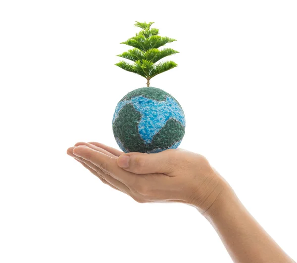 Earth Hands Growing Big Tree Soil Eco Bio Globe Clean Stock Photo by ...