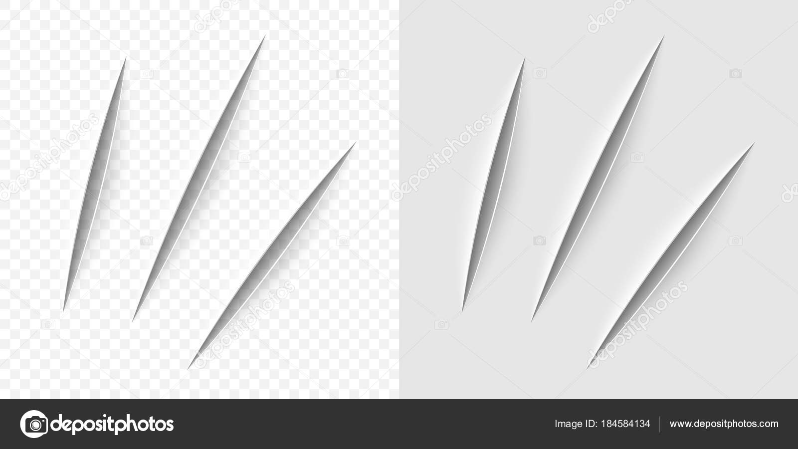 Vector realistic cut with a office knife Stock Vector Image by ...