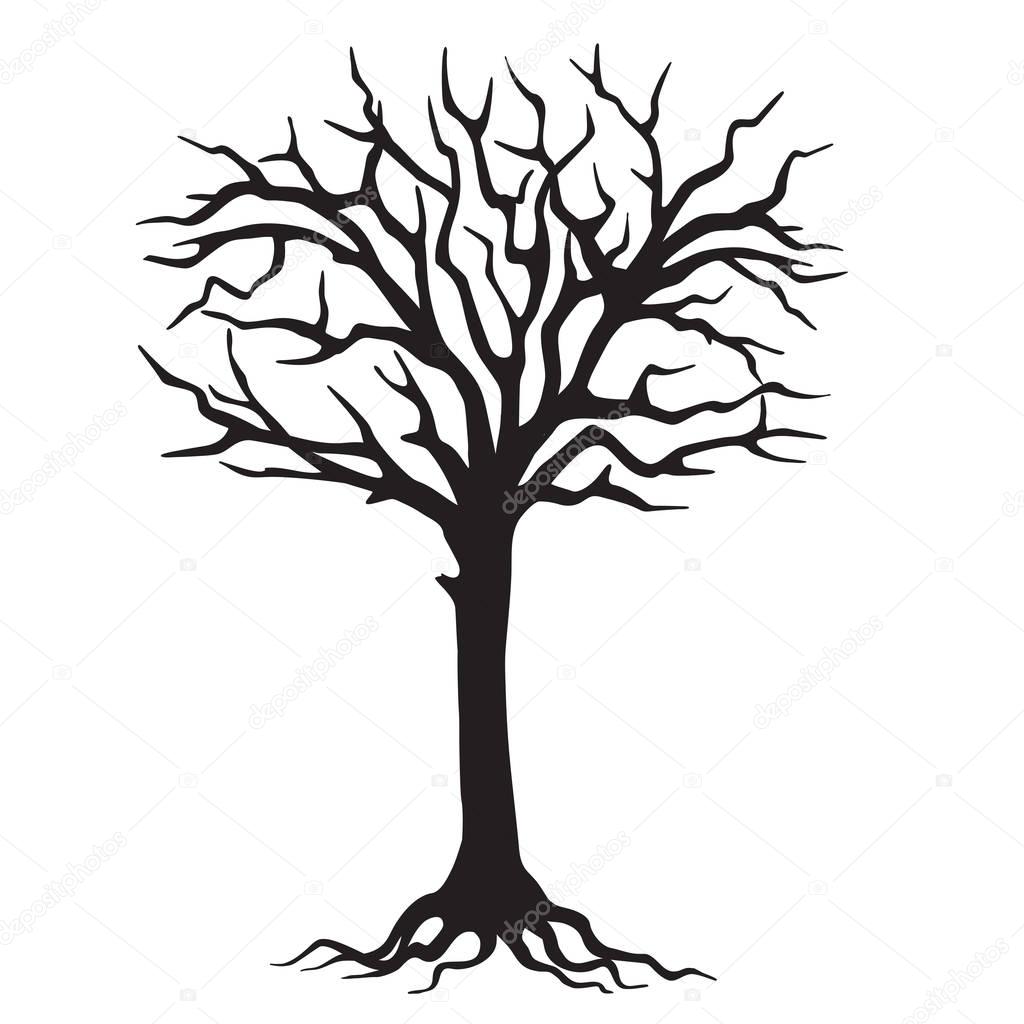 Hand drawn contour of tree Stock Vector Image by ©sliplee #128844436