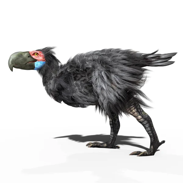 Dodo Bird Stock Photo by ©auntspray 80089150