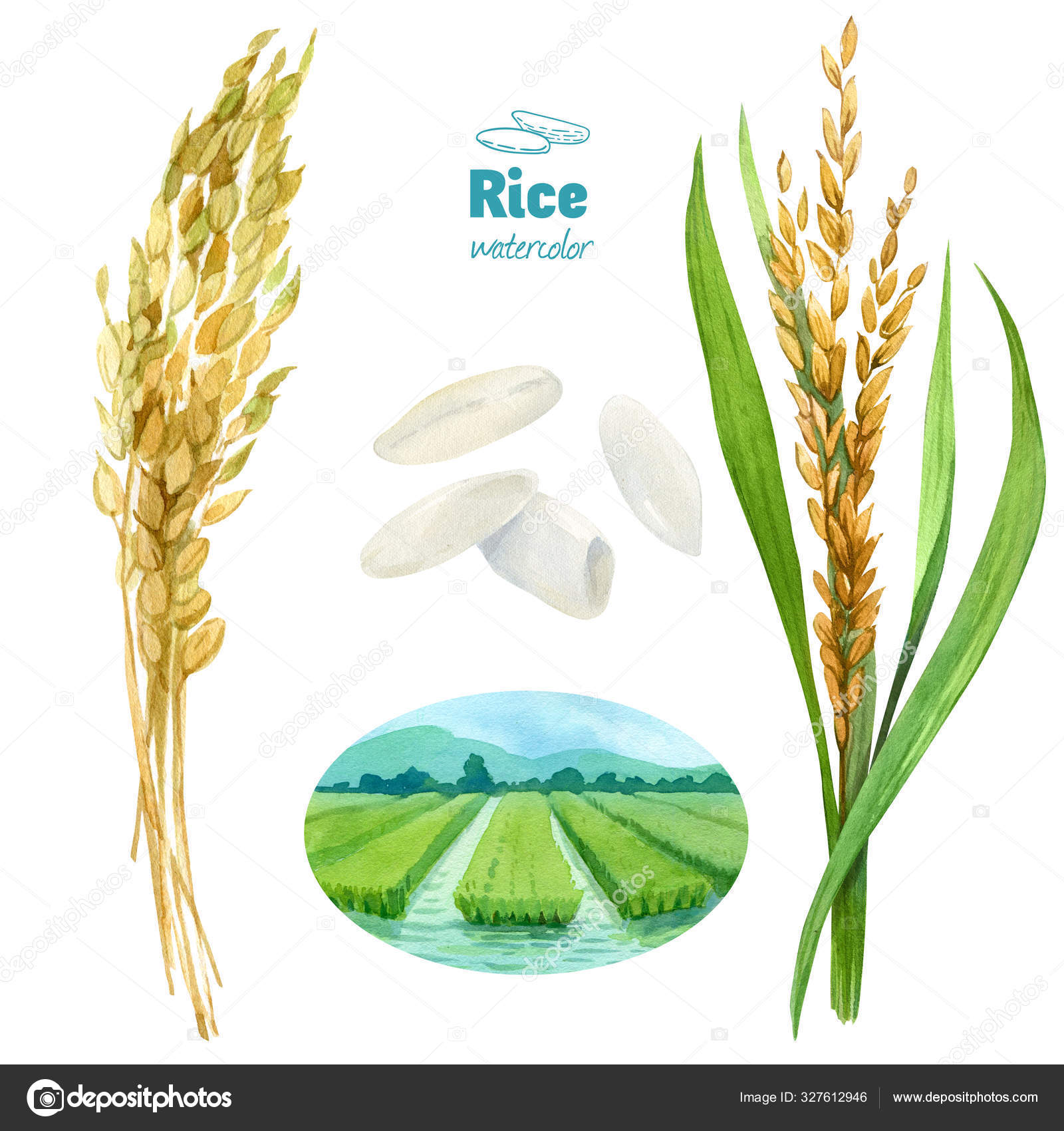 Rice watercolor illustration set with clipping paths Stock Illustration ...