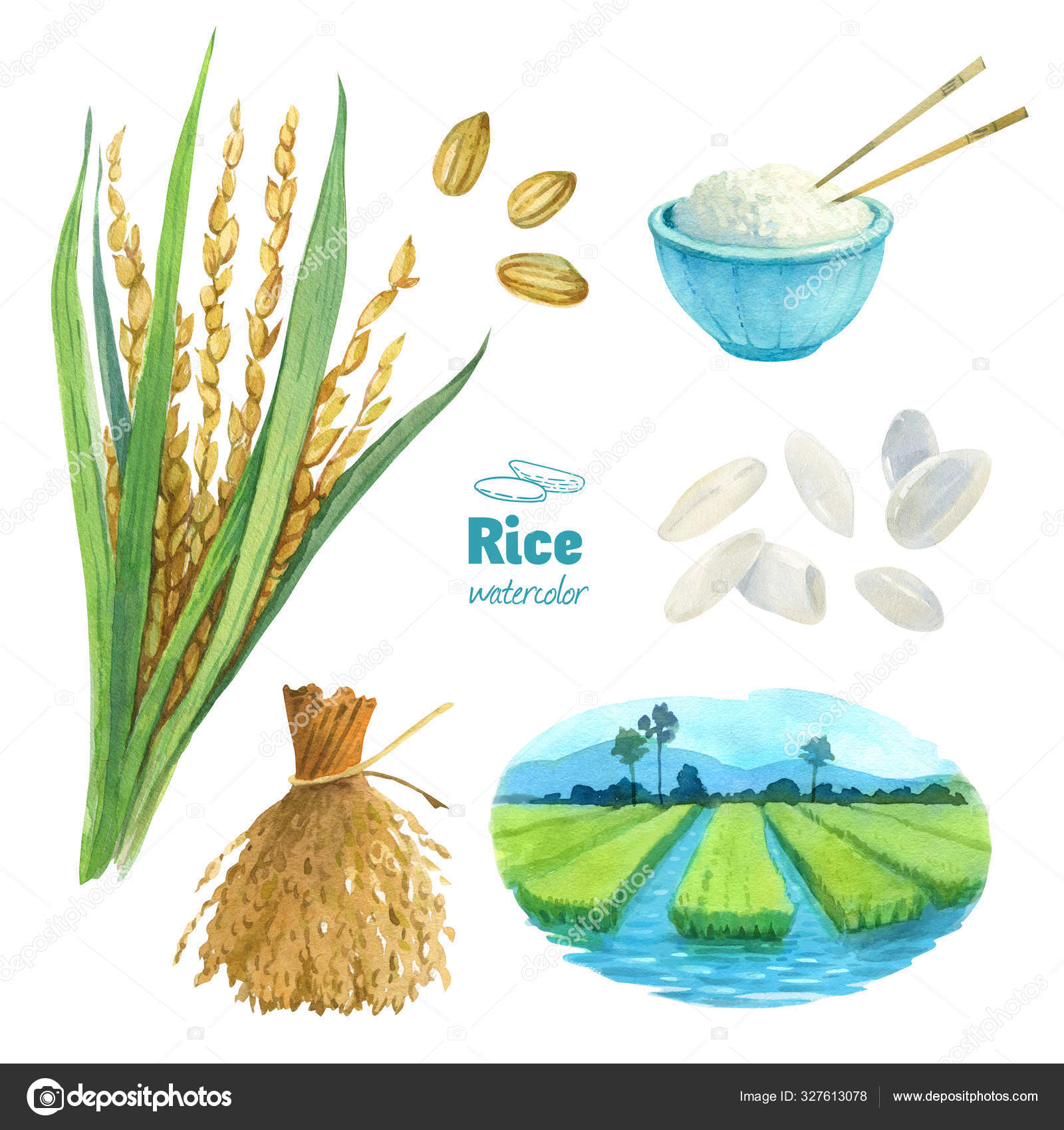 Rice watercolor illustration set with clipping paths Stock Illustration ...