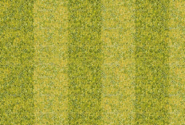 Light green grass texture background. — Stock Photo © cougarsan #81438758