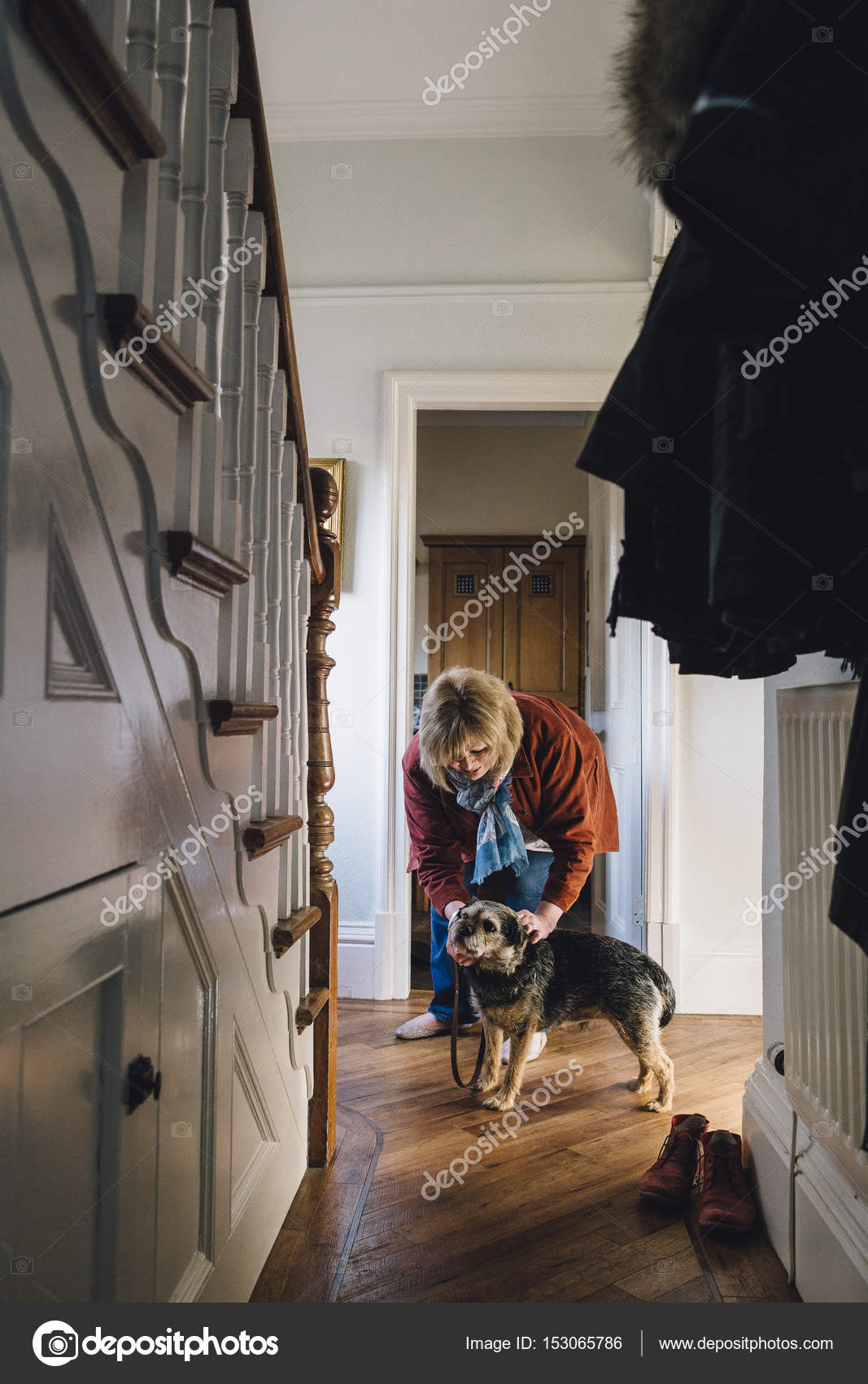 Taking The Dog For A Walk Stock Photo by ©DGLimages 153065786