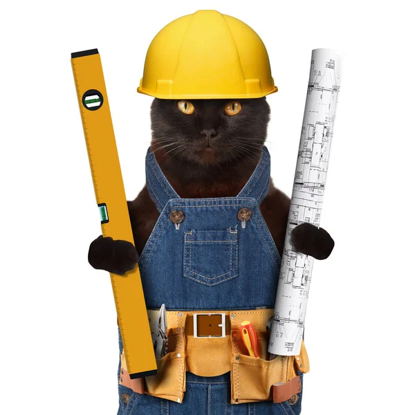 Funny cat is wearing a suit of builder. Craftsman on the white ...