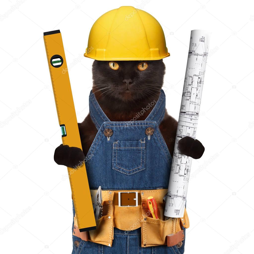 Funny Cat Wearing Suit Builder Craftsman Stock Photo, 41% OFF