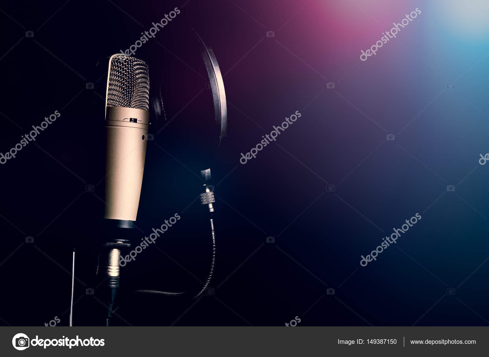 Professional condenser microphone with pop filter Stock Photo by ...