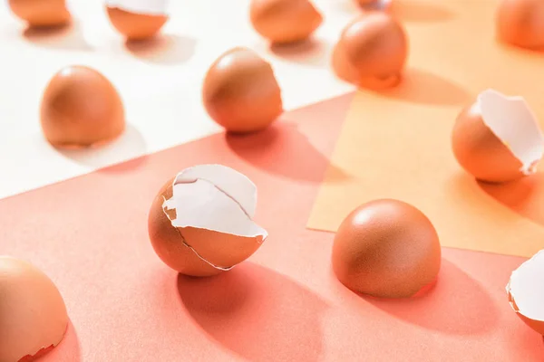 Desain telor pecah Stock Photos, Royalty Free Desain telor pecah Images ...