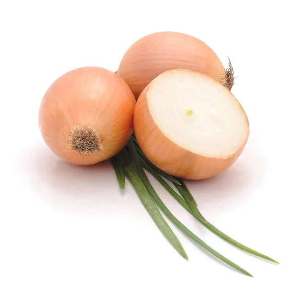 Bulbos vegetais Stock Photos, Royalty Free Bulbos vegetais Images ...