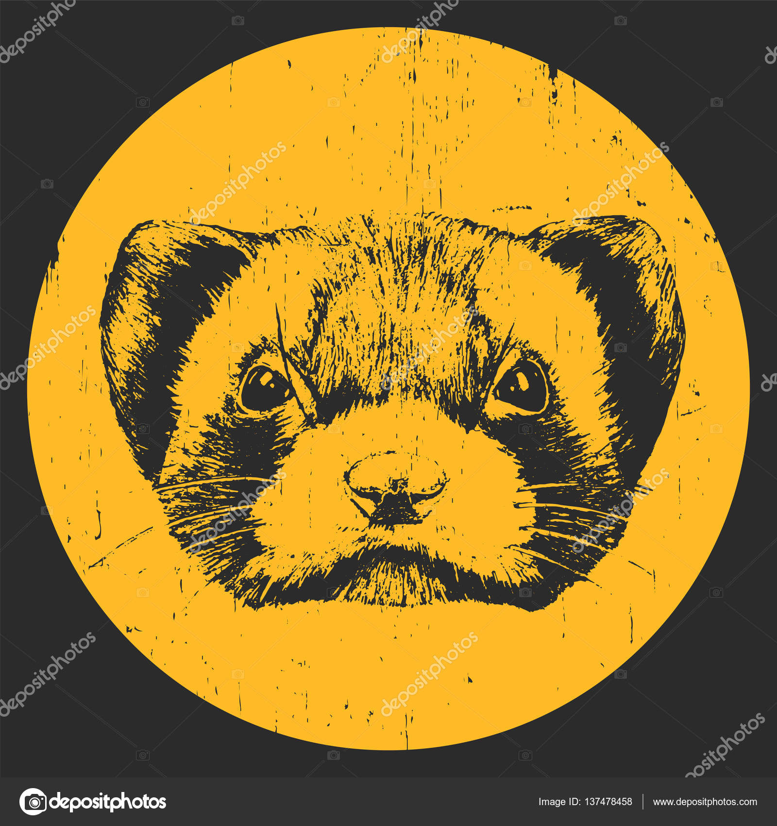 Least Weasel Drawing