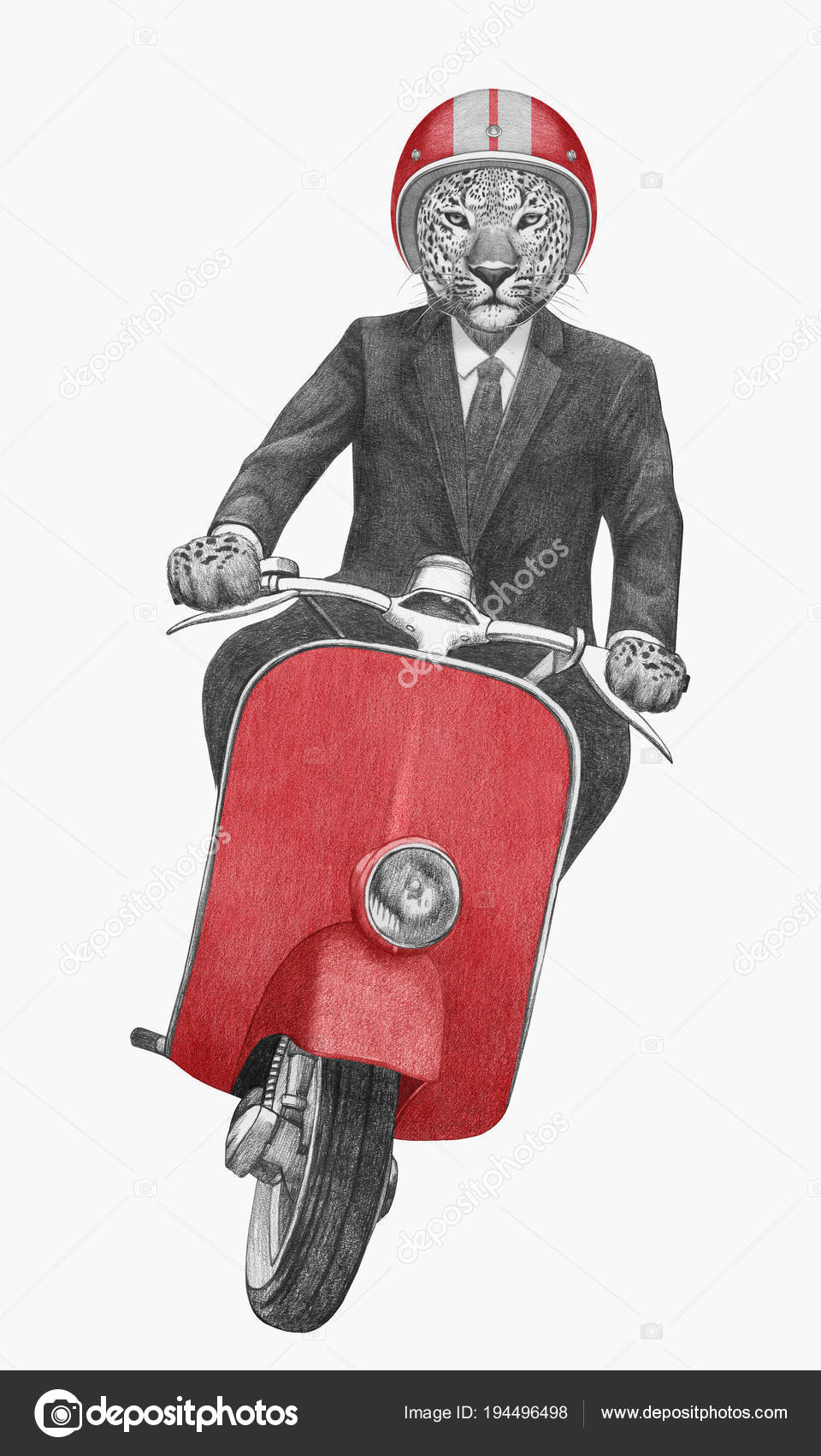 Hand Drawn Illustration Anthropomorphic Leopard Riding Vintage Motor ...