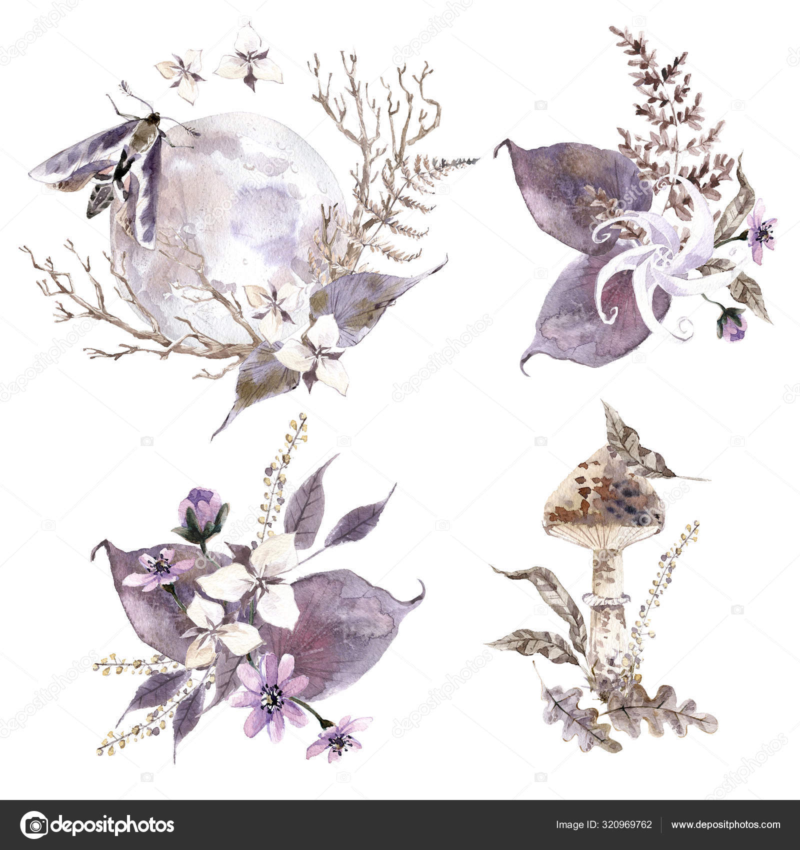 Watercolor Mystical Compositions Flowers Moth Moon Plants Brown Violet ...