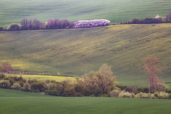 Paisajes de primavera Stock Photos, Royalty Free Paisajes de primavera ...
