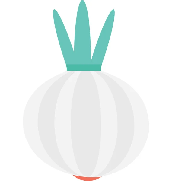 Bawang Vector Art Stock Images | Depositphotos