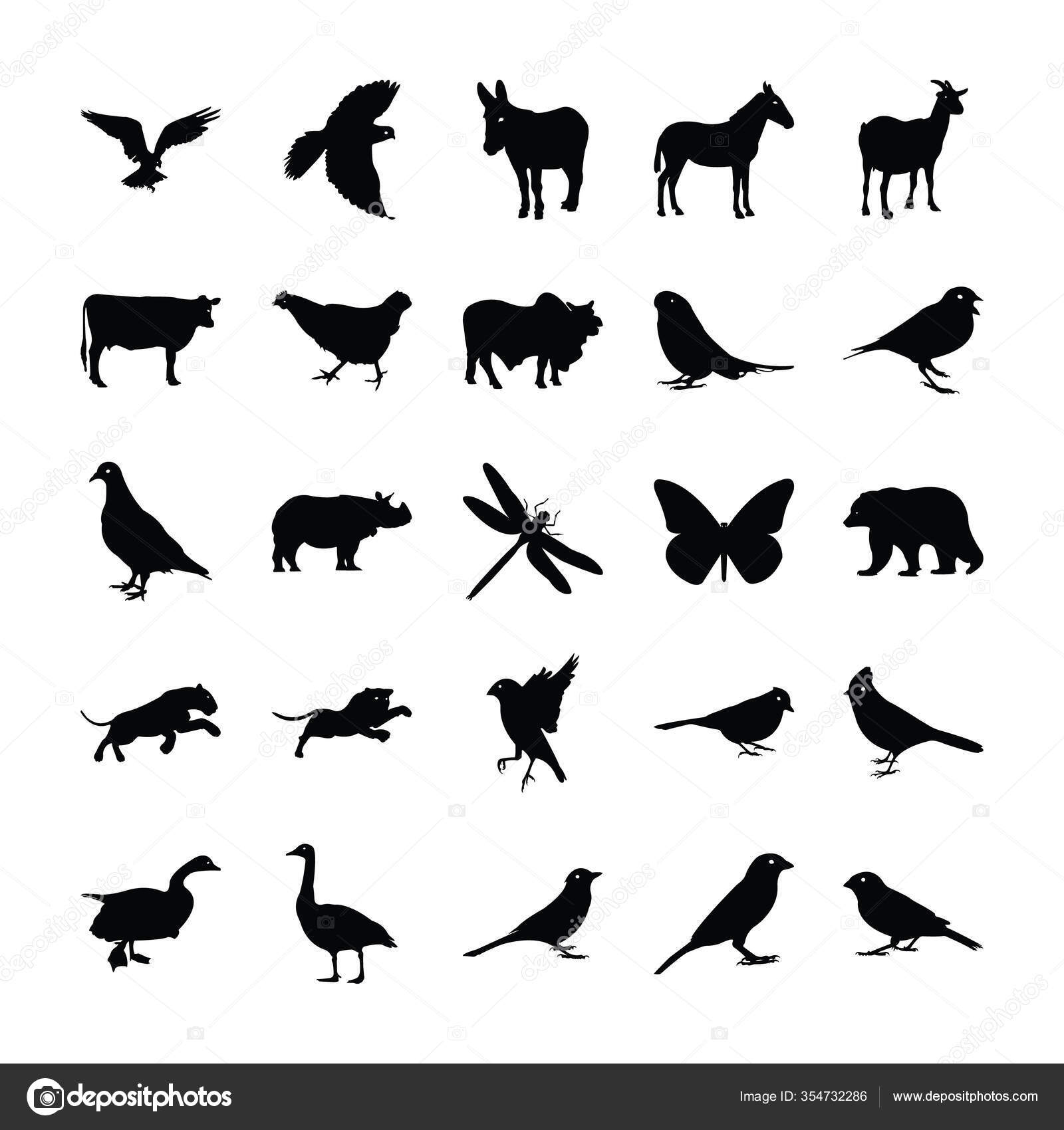 Animals Silhouette Vector Pack Stock Vector Image by ©vectorsmarket ...