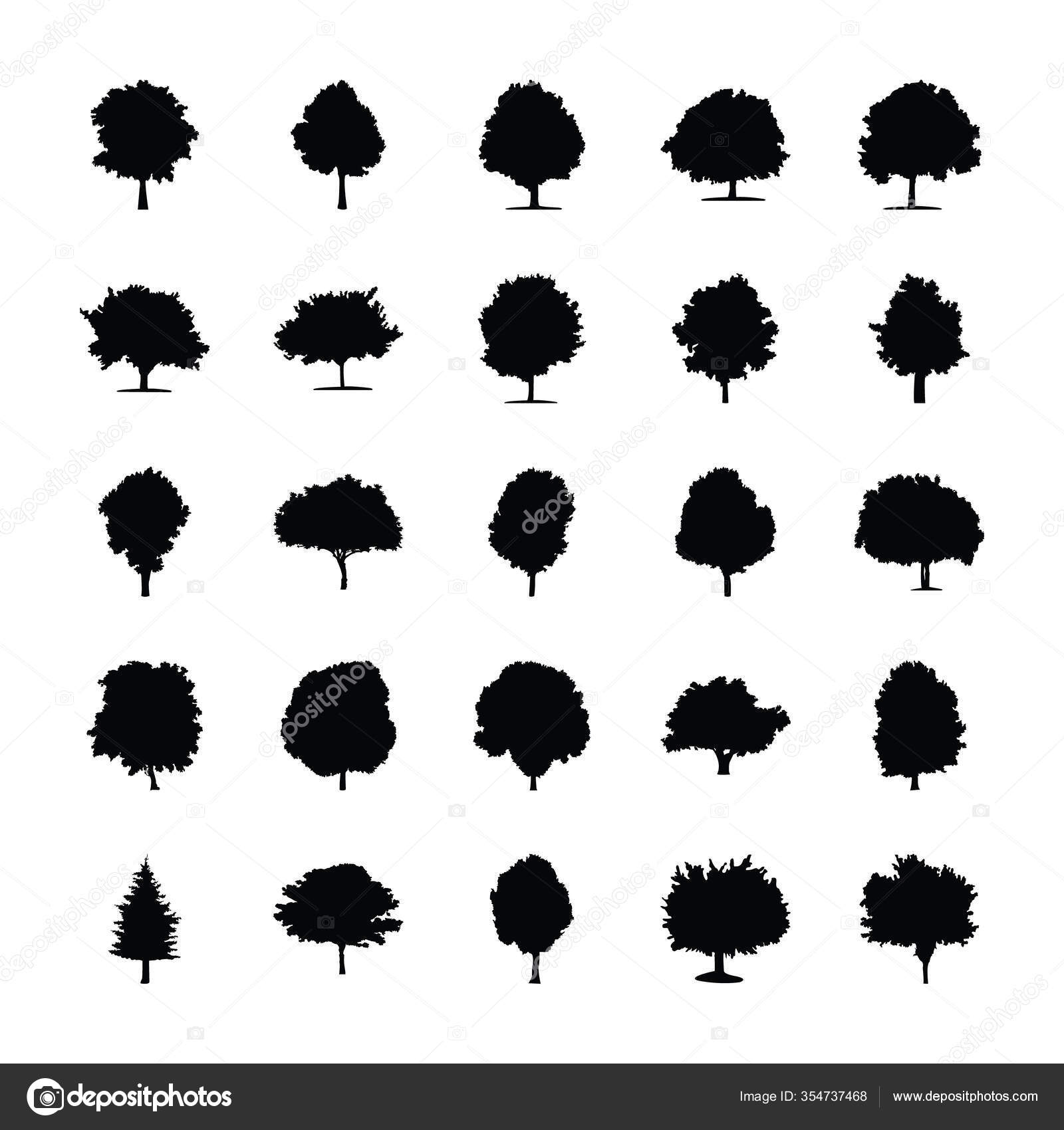 Evergreen Trees Icons Silhouette Stock Vector by ©vectorsmarket 354737468