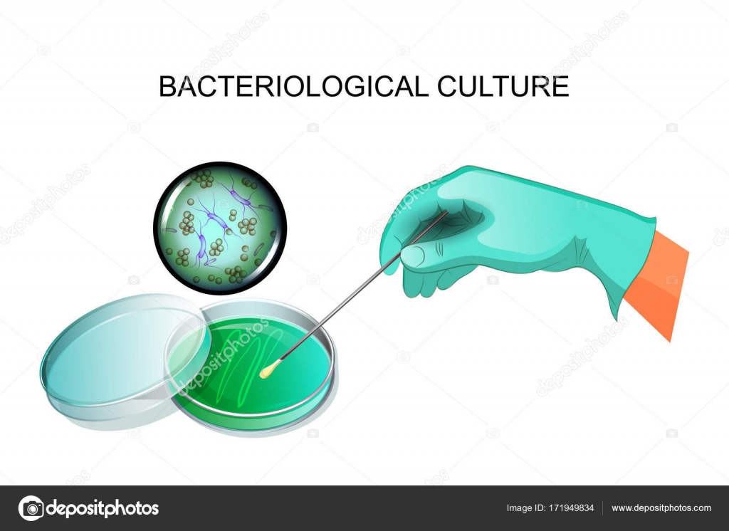Bacterial inoculation in the laboratory — Stock Vector © Artemida-psy ...