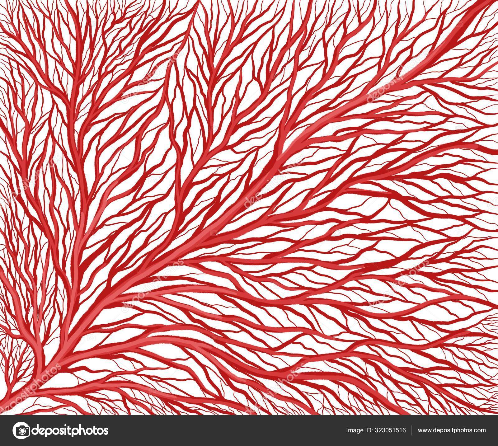 Illustration Stroke Branching Vascular Capillary Network Stock Photo by ...