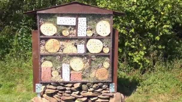 Pequeña casa para insectos — Vídeo de stock © Scorp61 #125055838