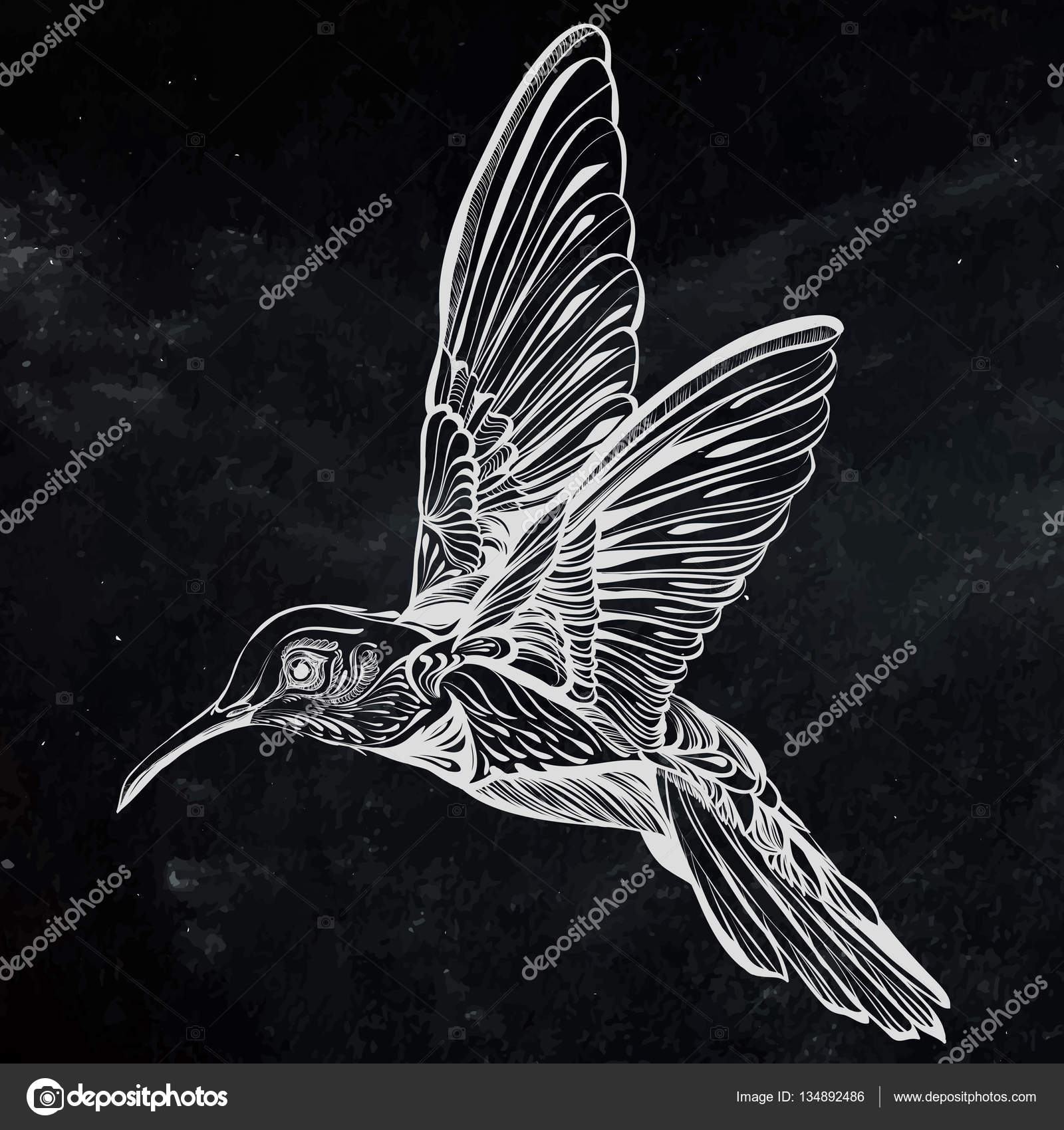 Colibrí en vuelo. Dibujo detallado Vector de stock por ©HikaruD88 134892486