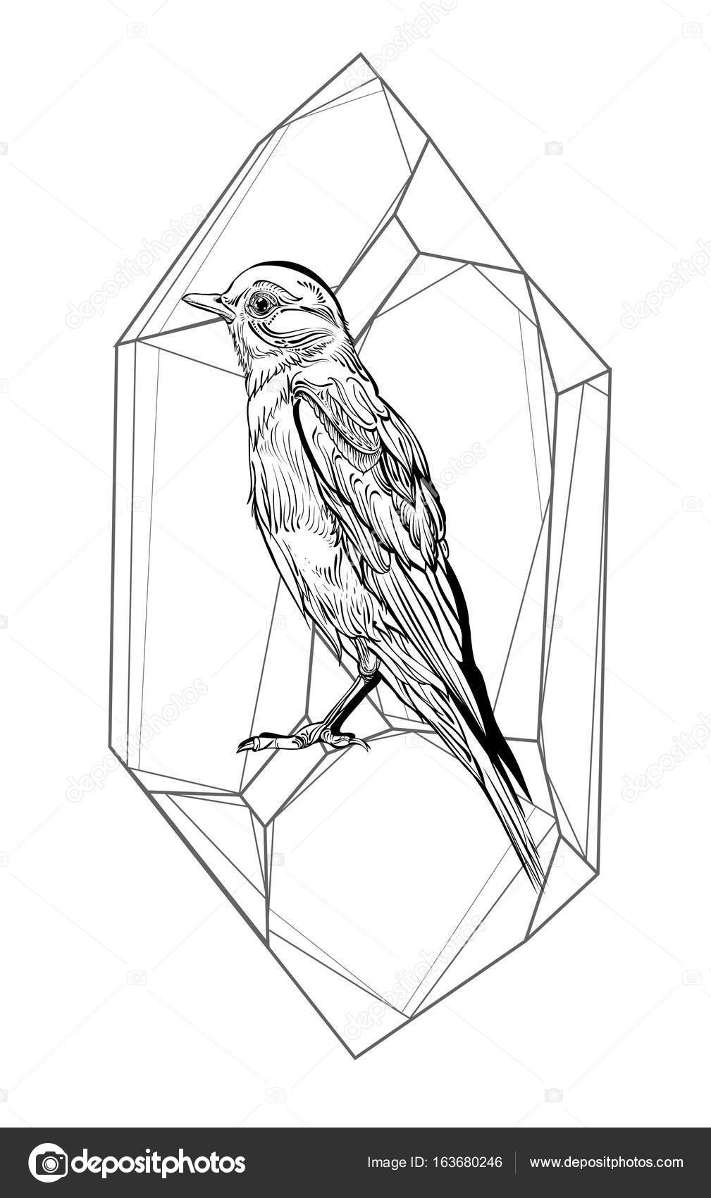 Detailed drawing of bird Stock Vector Image by ©HikaruD88 #163680246
