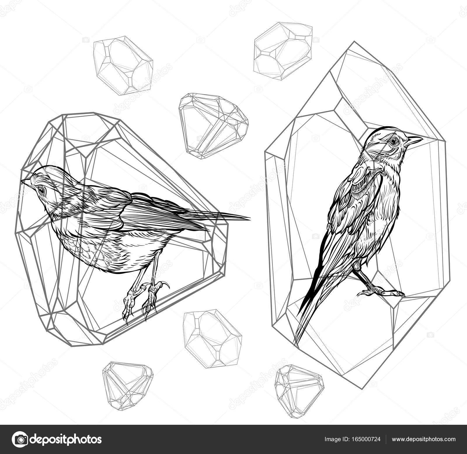 Birds in a crystal illustration isolated Stock Vector by ©HikaruD88 ...