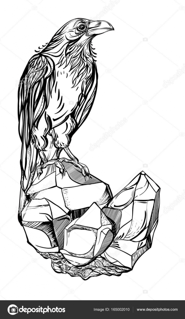 Raven Tekening Drawlloween Raven Day 18🎃 Wanted To Get In On A