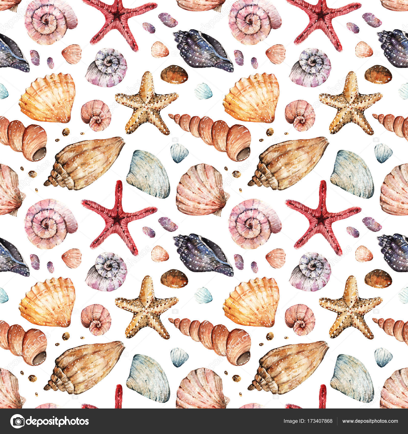 Watercolor Beautiful seashells Stock Photo by ©HikaruD88 173407868