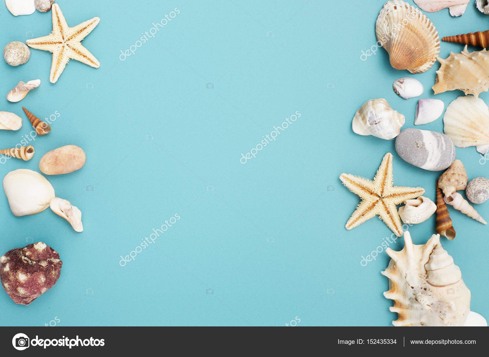 Frame of shells of various kinds on a blue background — Stock Photo ...