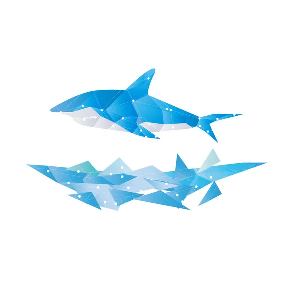 100,000 Sharks in art Vector Images | Depositphotos