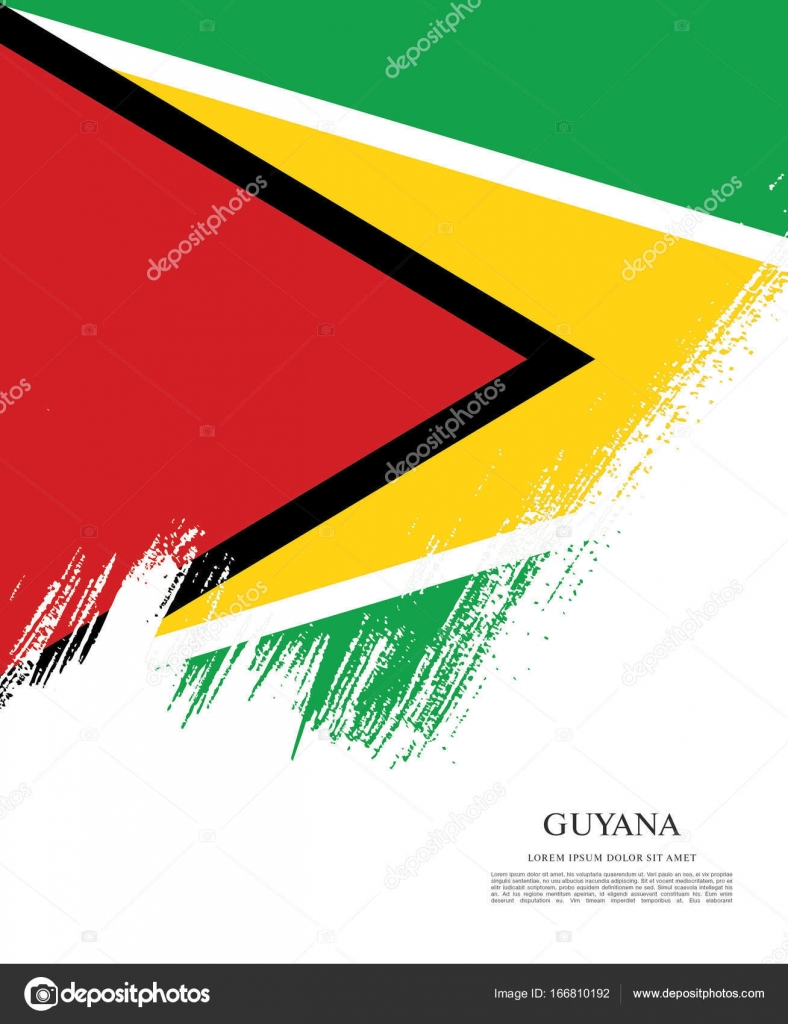 Guyana flag background Stock Vector Image by ©Igor_Vkv #166810192