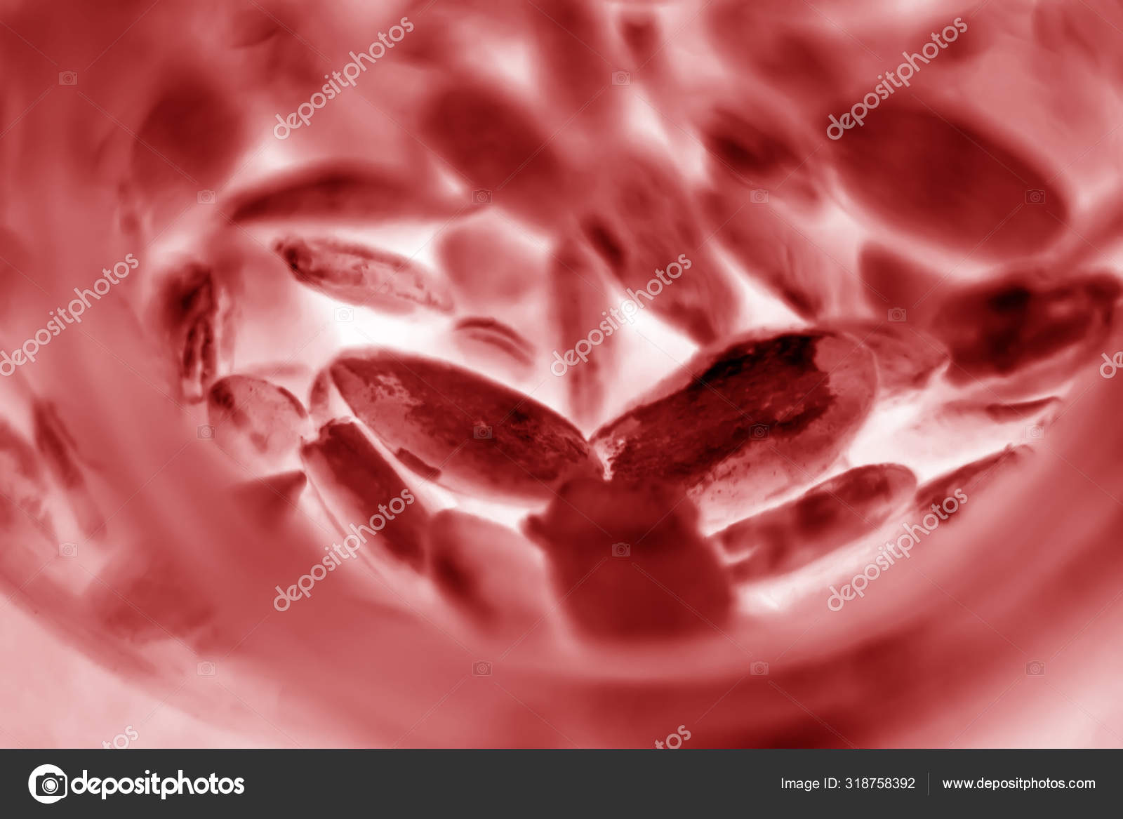 Red blood cells, human blood cells under a microscope. Microbiol Stock ...