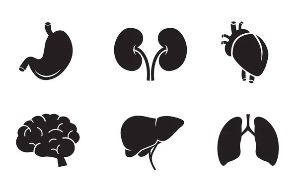 29,720,284 Organs pictogram Vector Images | Depositphotos