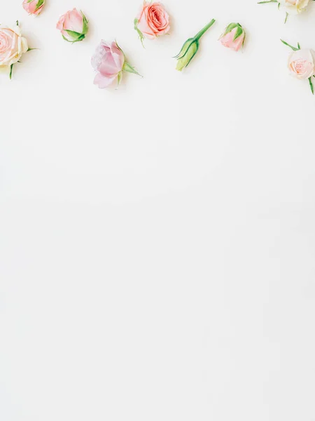 Pink roses white background floral composition Stock Photo by ©golubovy ...